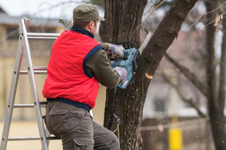 Reputation Management Do’s & Don’ts for Tree Services